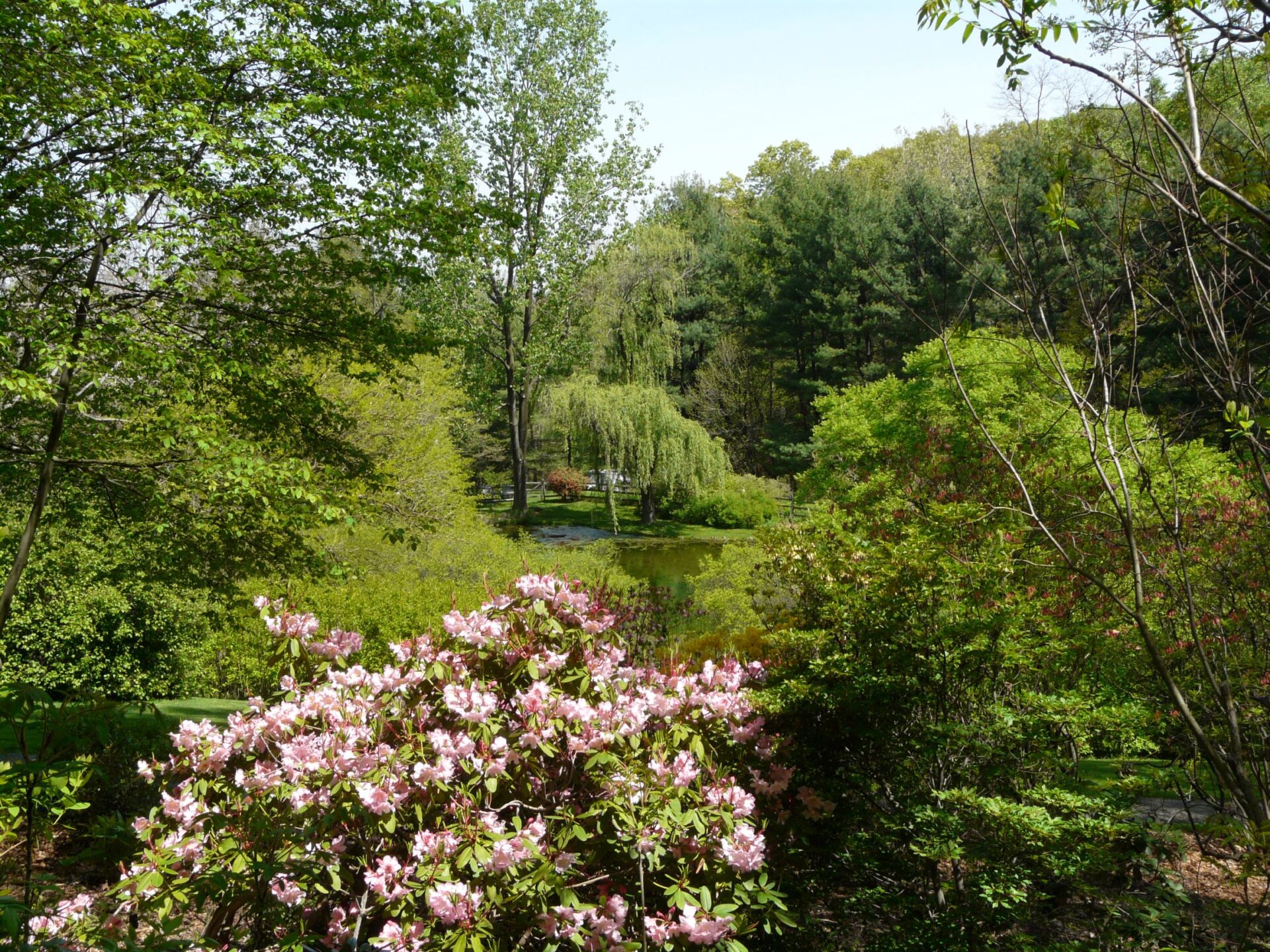 Spring 2 – Jenkins Arboretum & Gardens