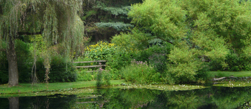 3 – Jenkins Arboretum & Gardens