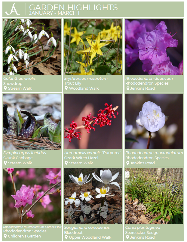 Garden Highlights – Jenkins Arboretum & Gardens