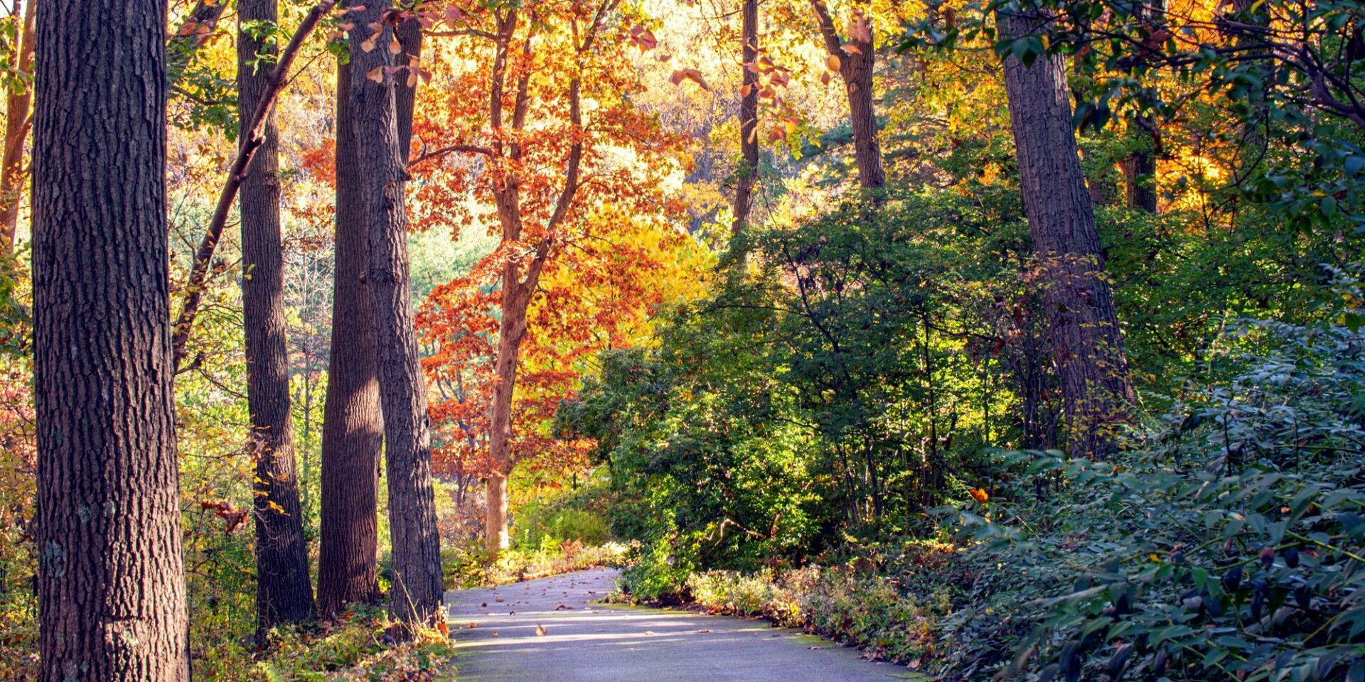 Landscape Photography Autumn