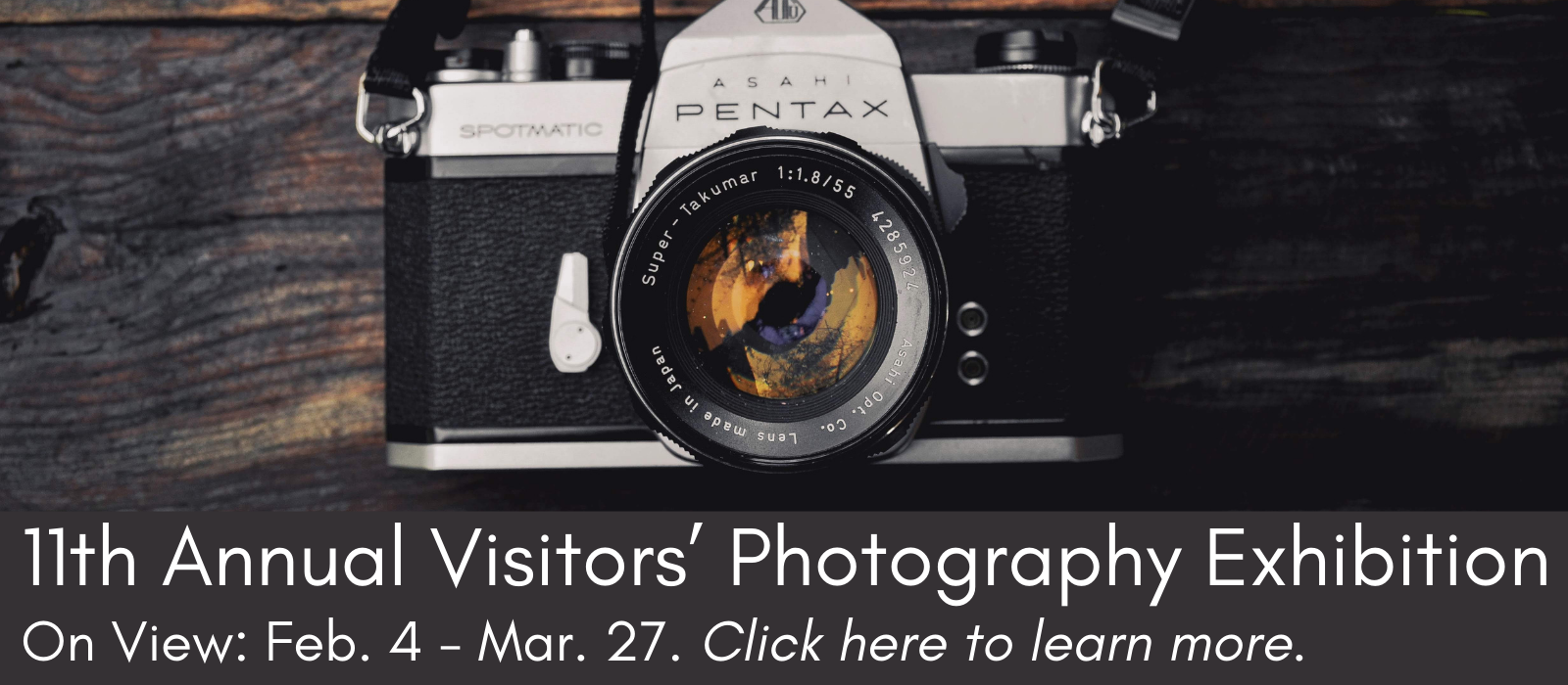 Home Page Sliding Photo Album (24) – Jenkins Arboretum & Gardens