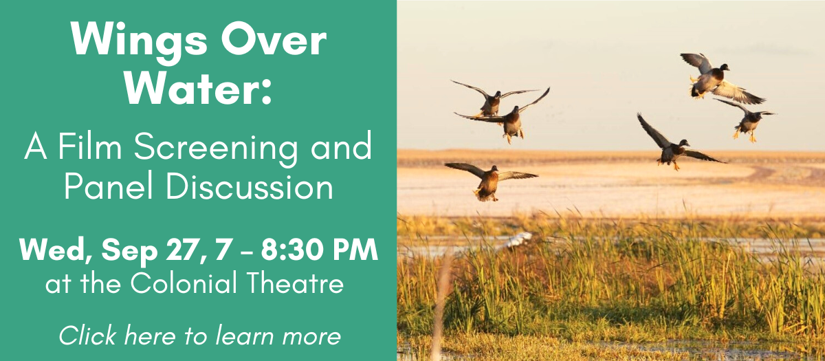 Home Page Sliding Photo Album (26) – Jenkins Arboretum & Gardens