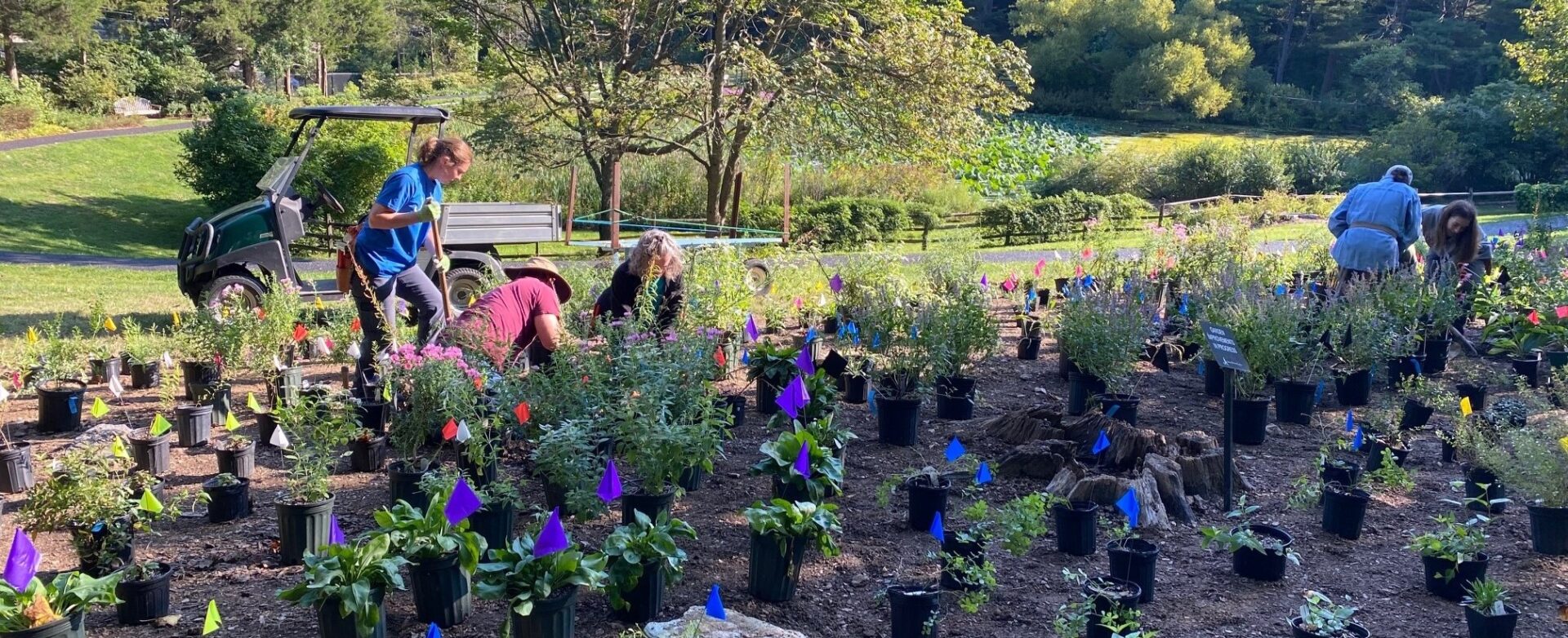 Nickis-project-1 – Jenkins Arboretum & Gardens