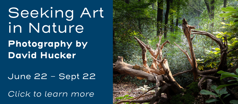 Home Page Sliding Photo Album (28) – Jenkins Arboretum & Gardens