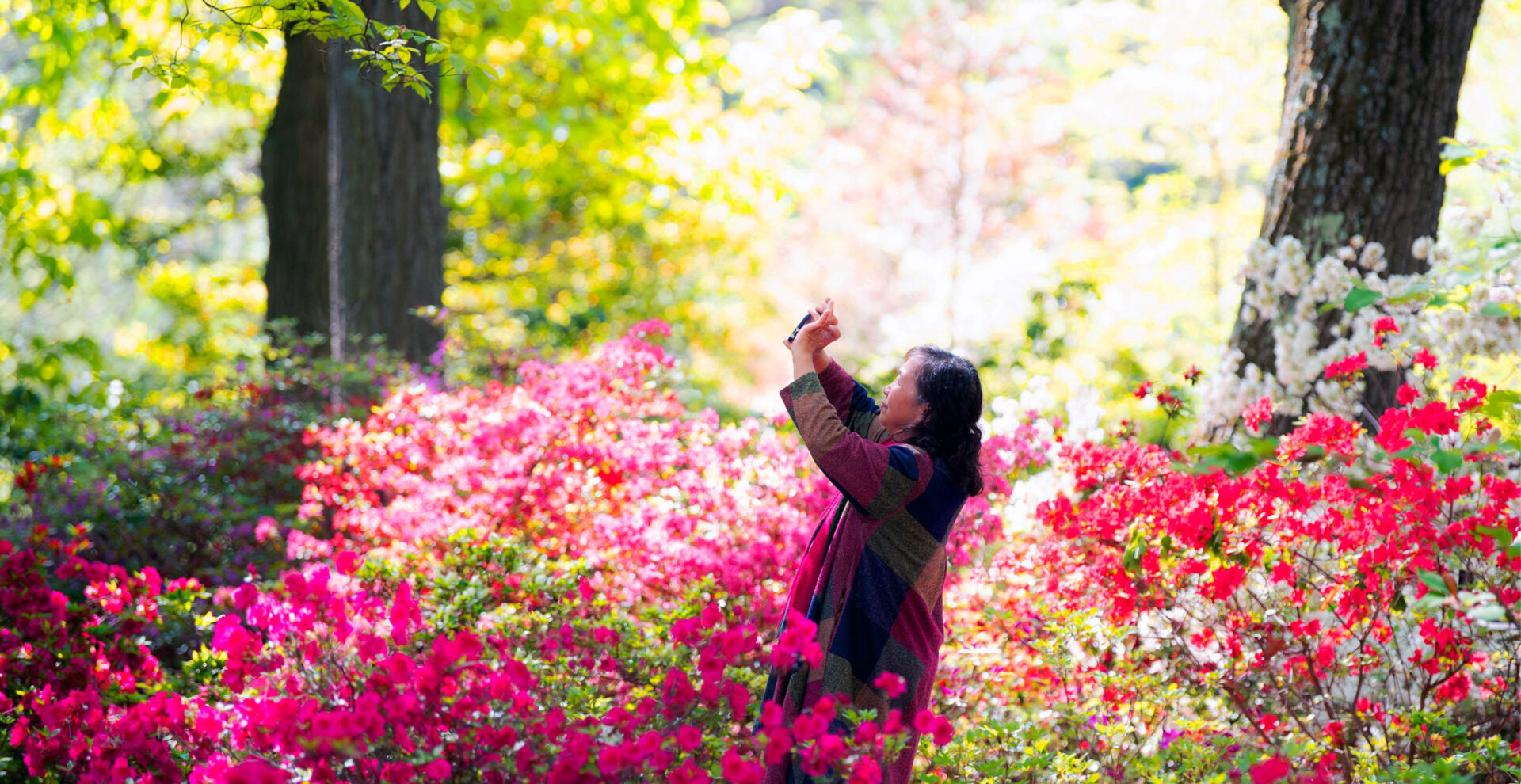 jenkins-may-color-grade – Jenkins Arboretum & Gardens