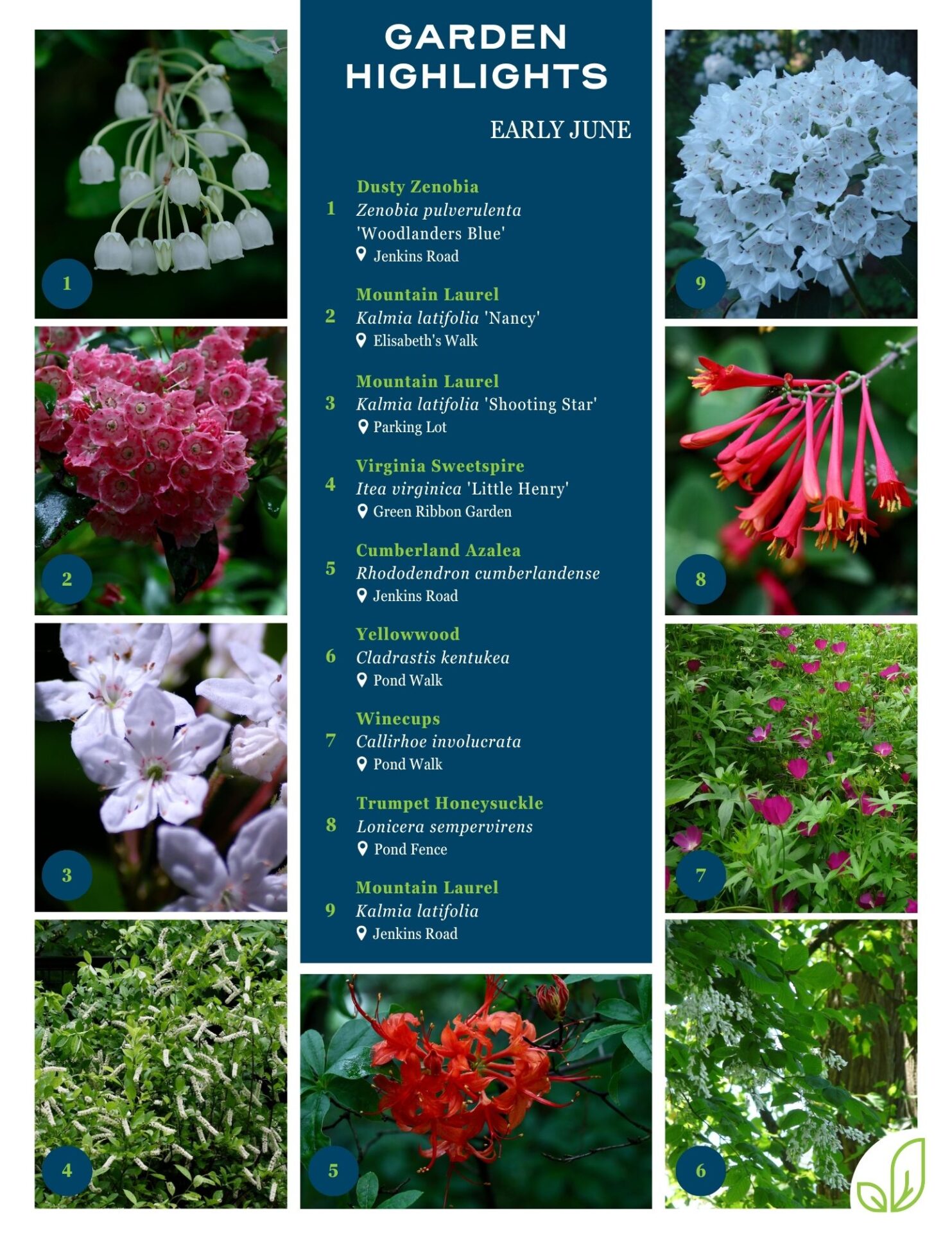 10 _ Early June – Jenkins Arboretum & Gardens