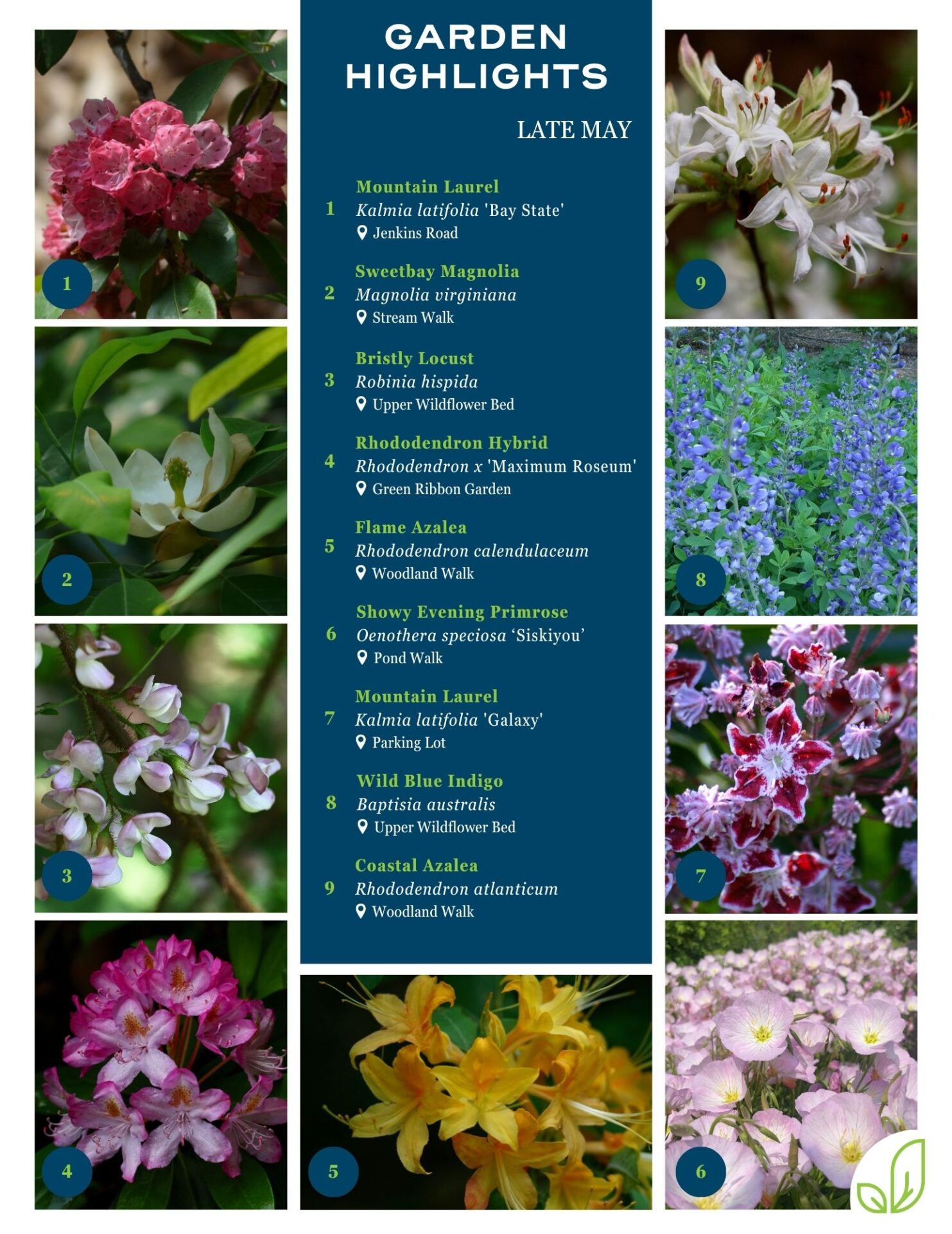 9 _ Late May – Jenkins Arboretum & Gardens